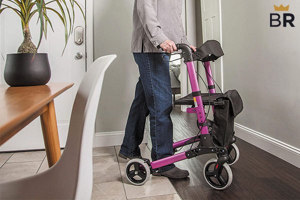 5 Best Walkers - June 2025 - BestReviews